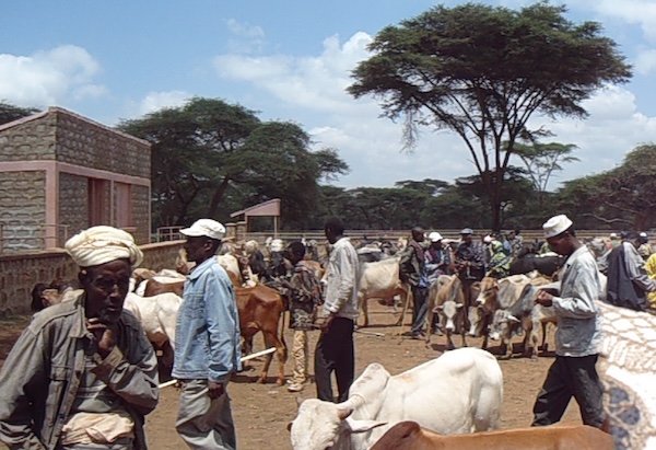 Protecting Livestock and Livelihoods